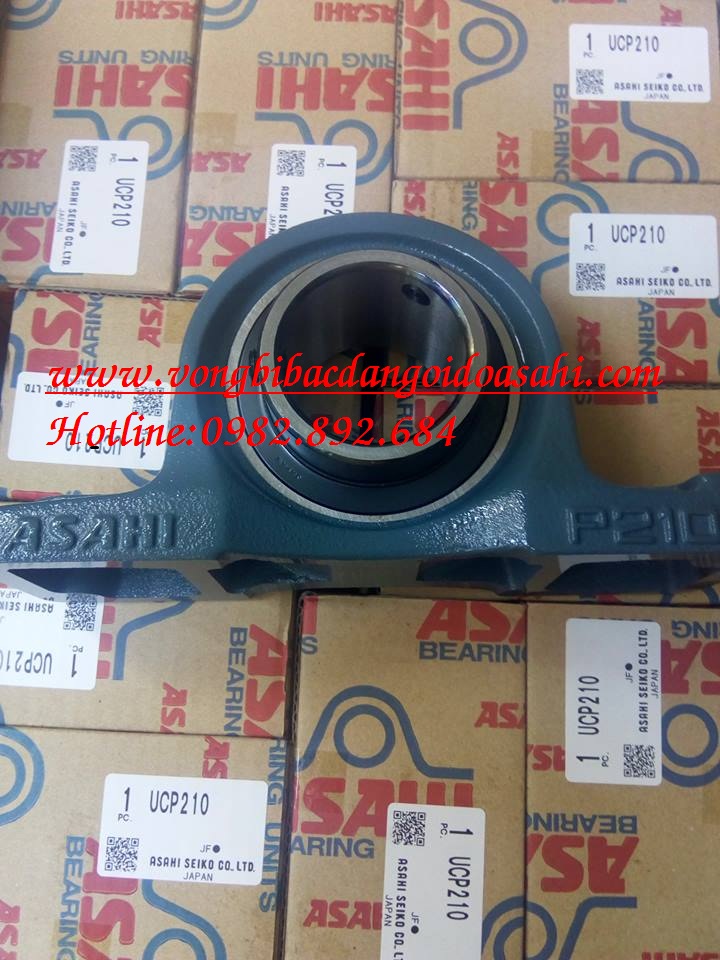 BẠC ĐẠN P204 - ASAHI - VÒNG BI-BẠC ĐẠN - 0982.892.684